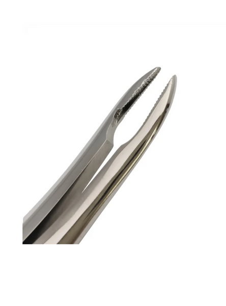 Narrow Jaw Extraction Forceps 7.5 – MHAY INDUSTRIES